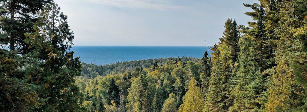 Minnesota’s forests: Worth bragging about, cherishing, sustaining ...