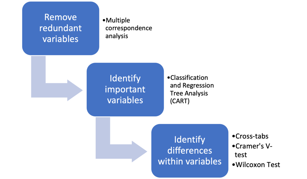 The Journey to meaningful workforce participation among graduates in ...